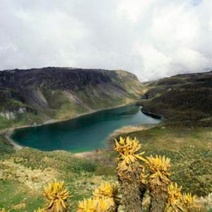 Los páramos: fuentes de agua - Comunidad Planeta Azul